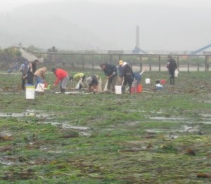 Oregon's Best Clamming Bays - Best Fishing in America