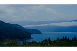 Riffe Lake Fishing: How to Catch Coho, Bass & More (2024) - Best ...