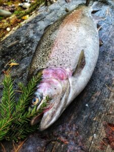 Best Trout Fishing in Oregon - Best Fishing in America