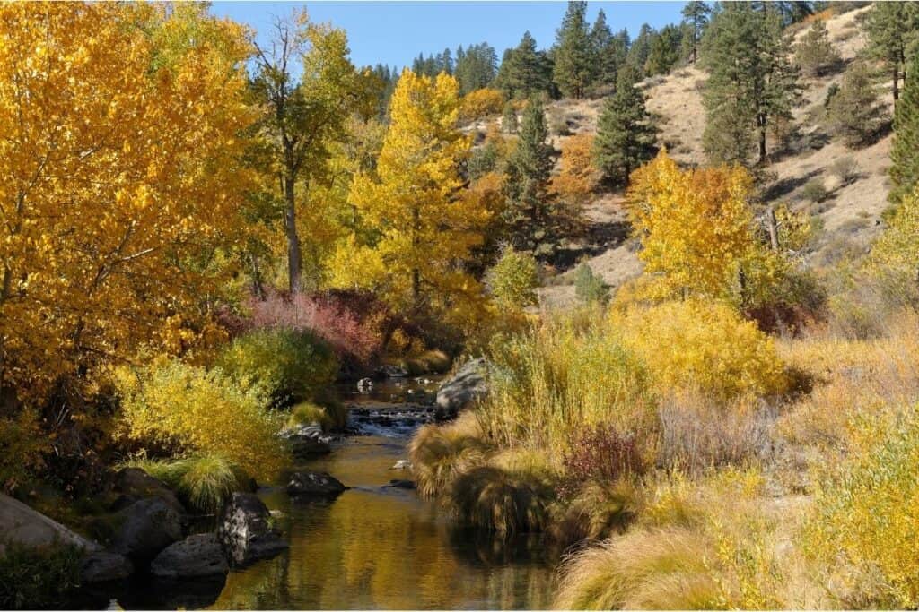 20 Best Fishing Spots Near Susanville and Lassen County - Best Fishing ...