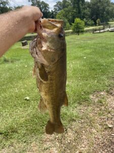 15 Best Bass Fishing Lakes & Rivers in Louisiana - Best Fishing in America