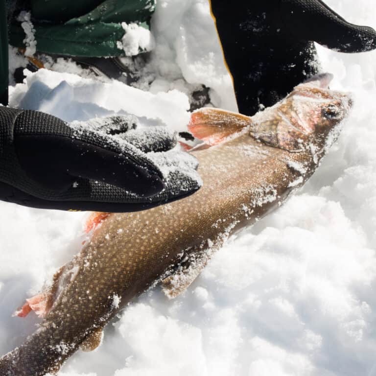 8 Best Ice Fishing Lakes in Colorado - Best Fishing in America