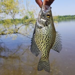 15 Best Crappie Fishing Lakes and Rivers in Missouri - Best Fishing in ...