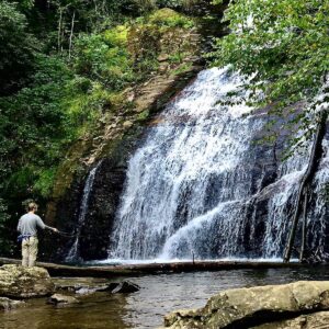 17 Best Trout Fishing Streams & Lakes in Georgia - Best Fishing in America
