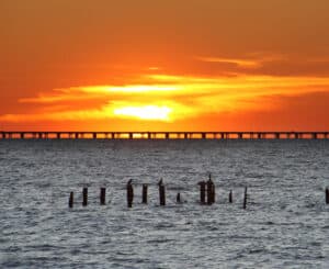 Lake Pontchartrain Fishing: Local Angler's Best Tips - Best Fishing in ...