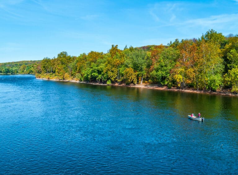Delaware River Fishing: Complete Angler's Guide - Best Fishing in America