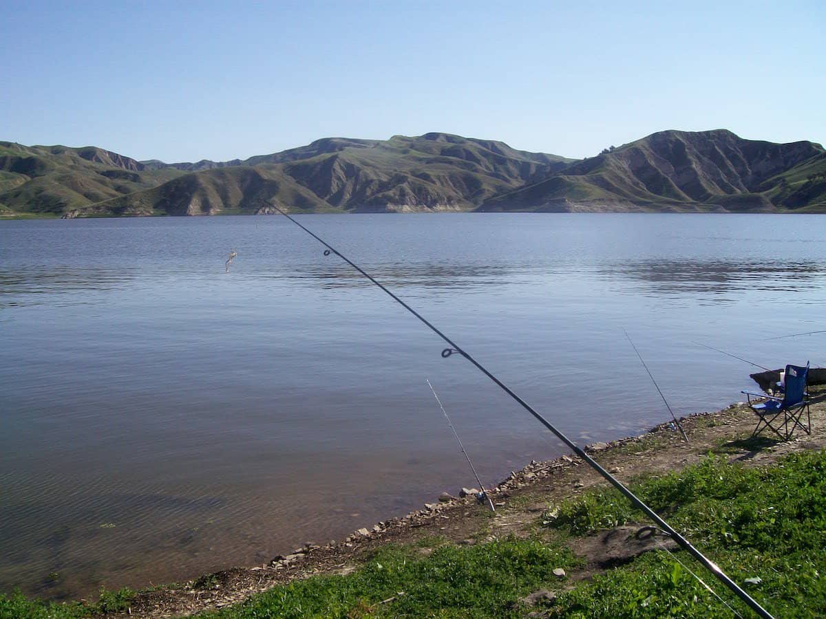 The Ultimate Guide to Lake Piru Fishing - Best Fishing in America