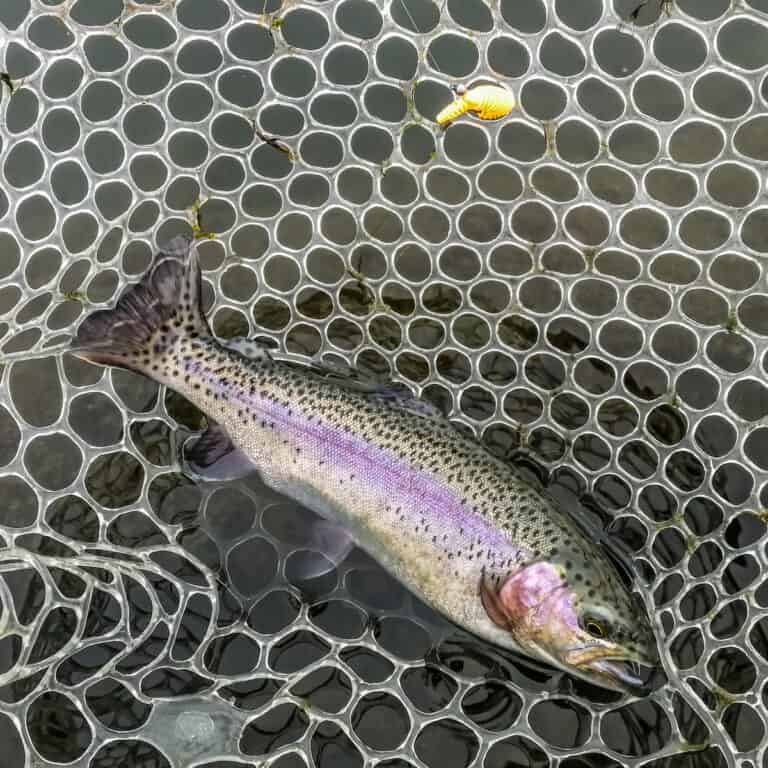 12 Best Trout Fishing Streams and Lakes in New Jersey - Best Fishing in ...